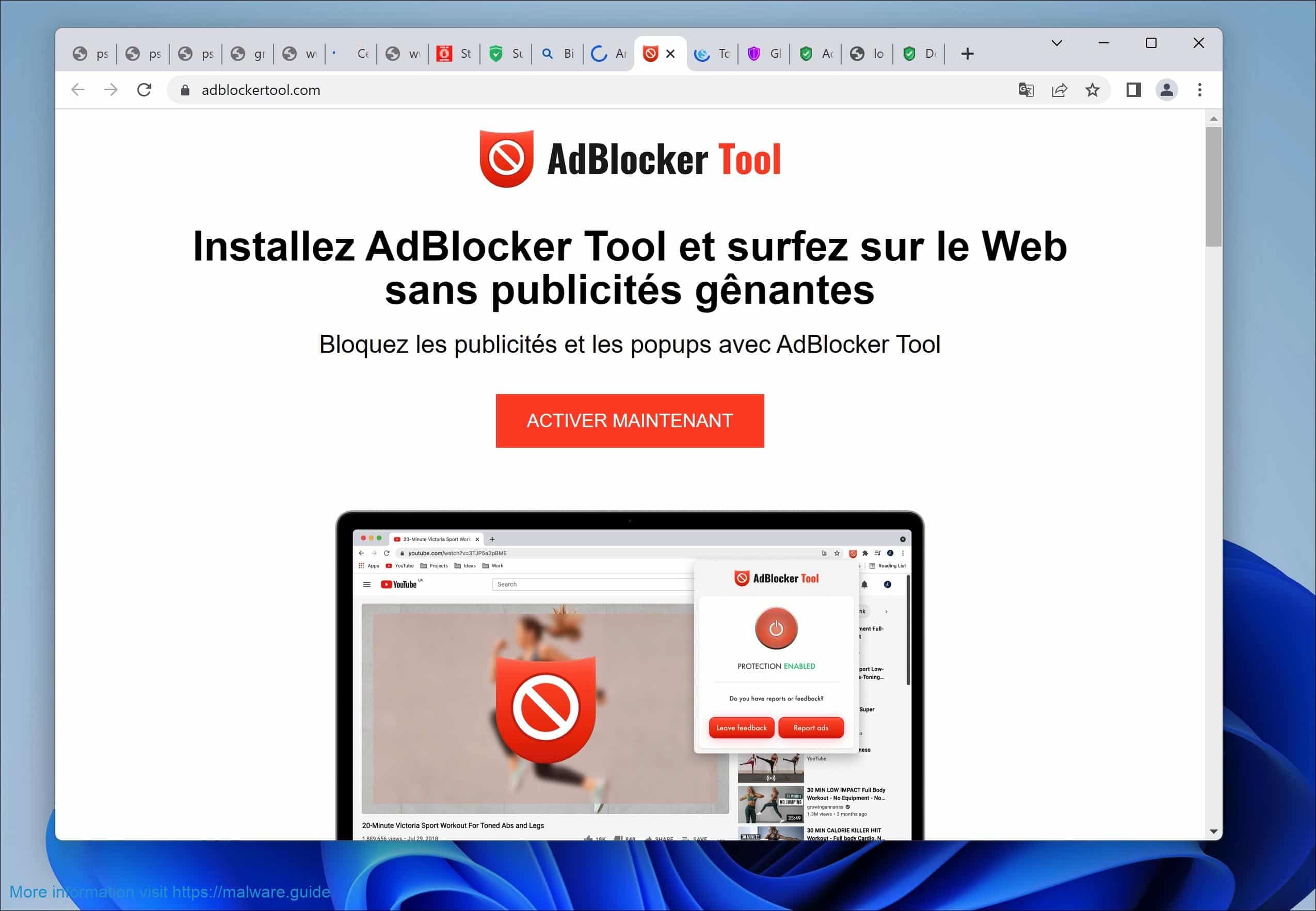 Supprimer Le Pirate De Navigateur AdBlocker Tool February 2024